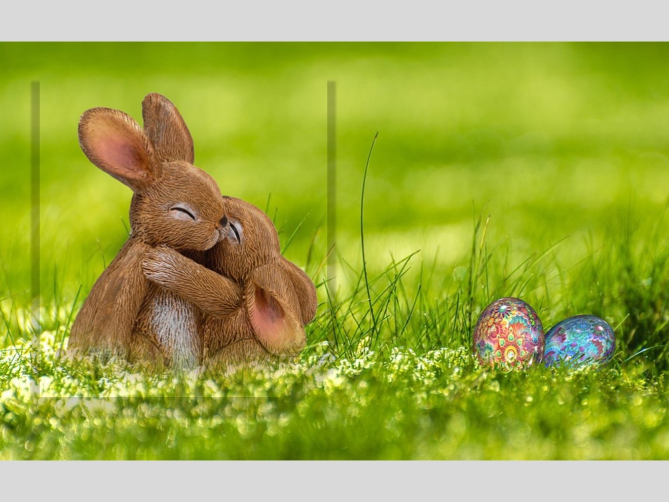 Cosa sono i circuiti in serie e in parallelo?